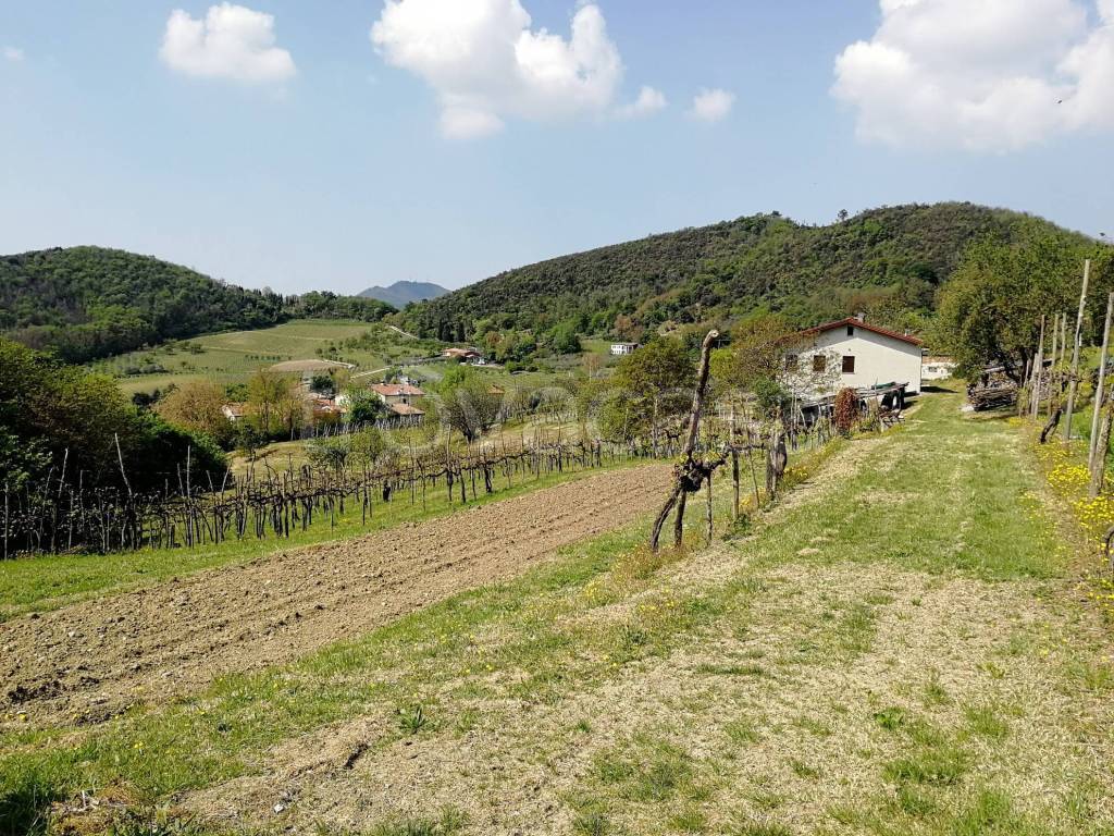 Rustico in vendita a Montegrotto Terme