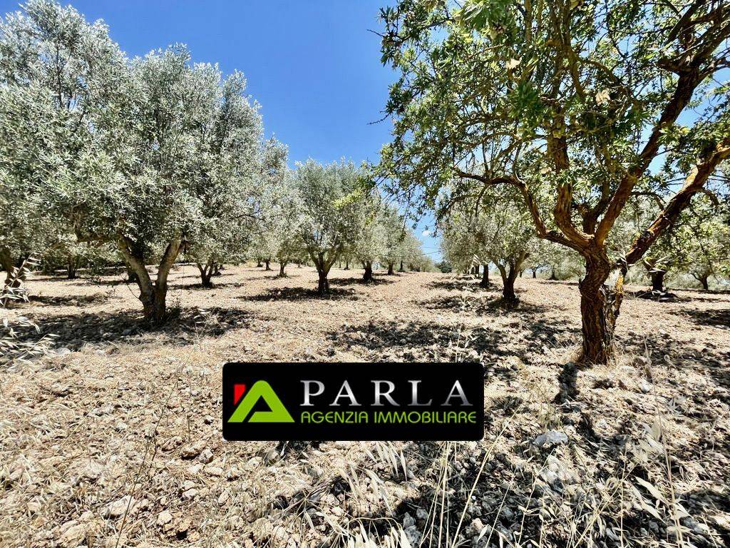 Villa Bifamiliare in vendita a Canicattì