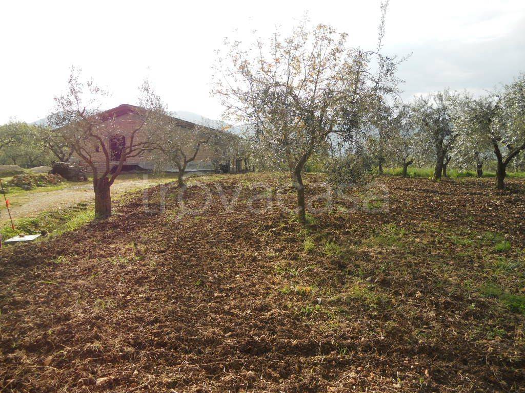 Villa in in vendita da privato a Montaquila strada Comunale per Starza Cannavinelle