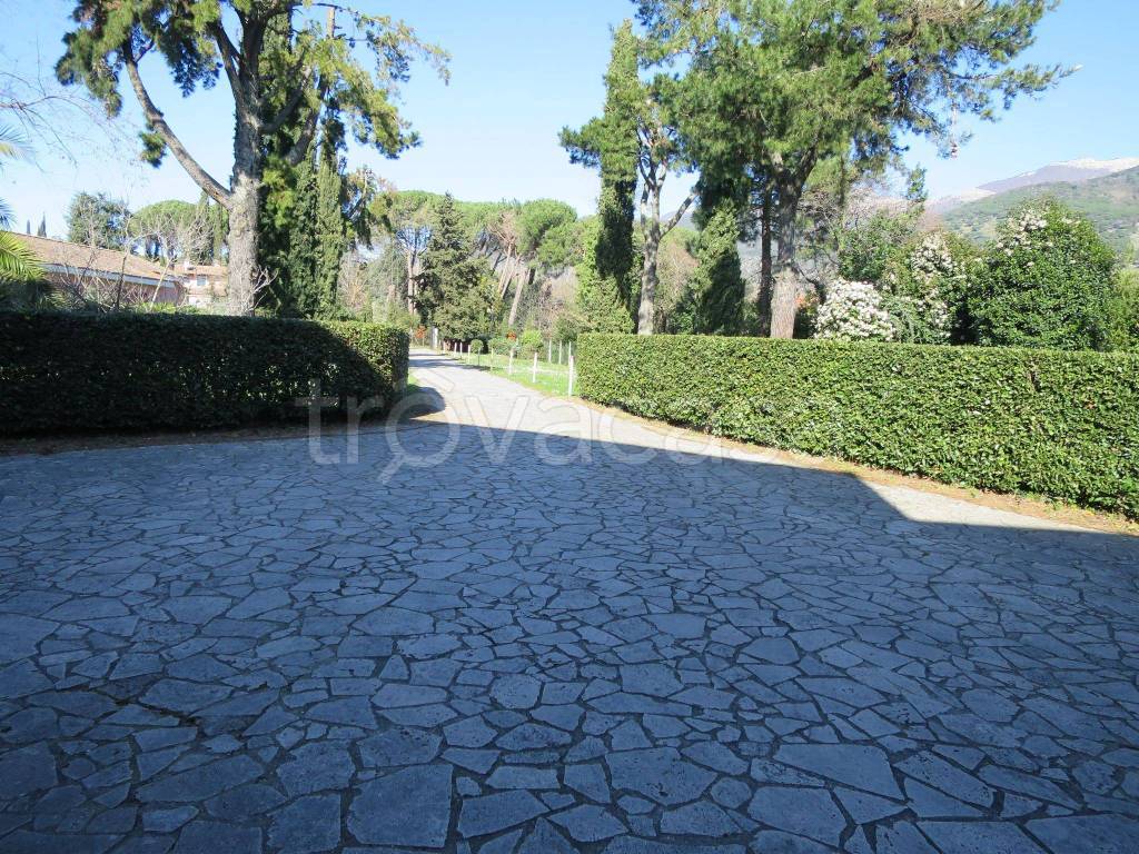 Intero Stabile in in vendita da privato a Sezze strada Provinciale Ninfina I