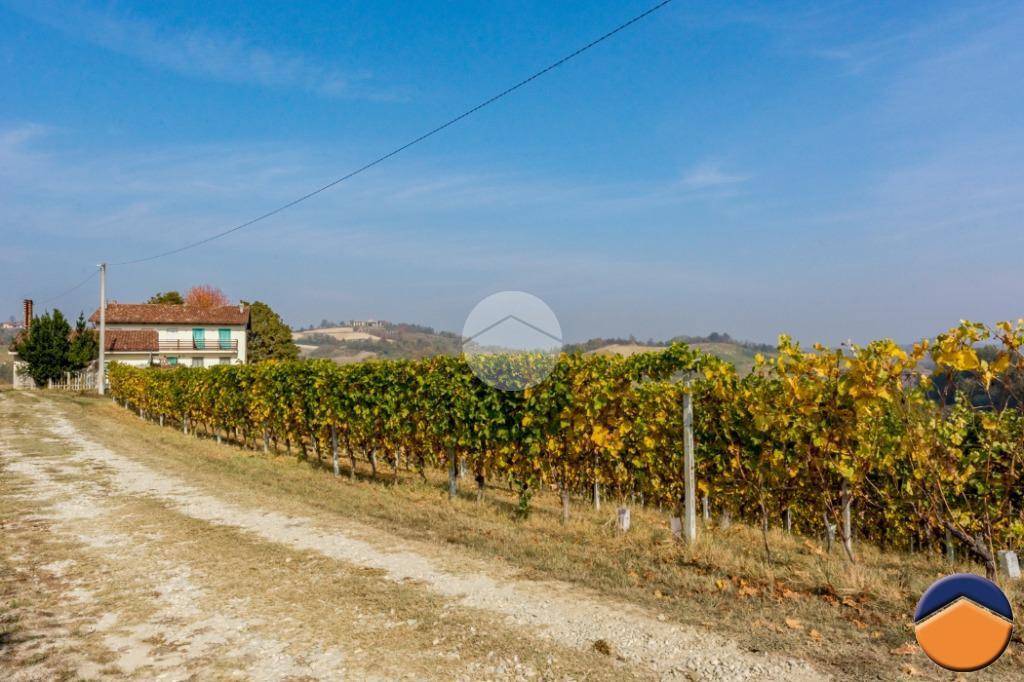 Casa Indipendente in vendita a Santa Vittoria d'Alba strada valentino, 2
