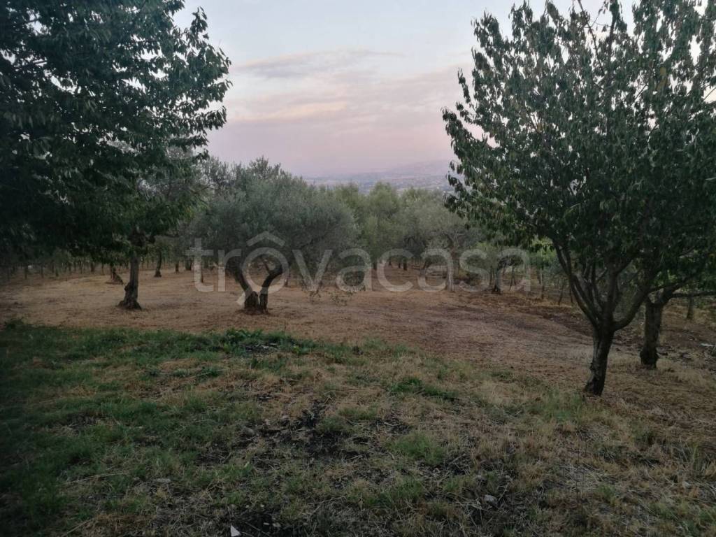 Casa Indipendente in in vendita da privato a Foglianise via Acquara, 1