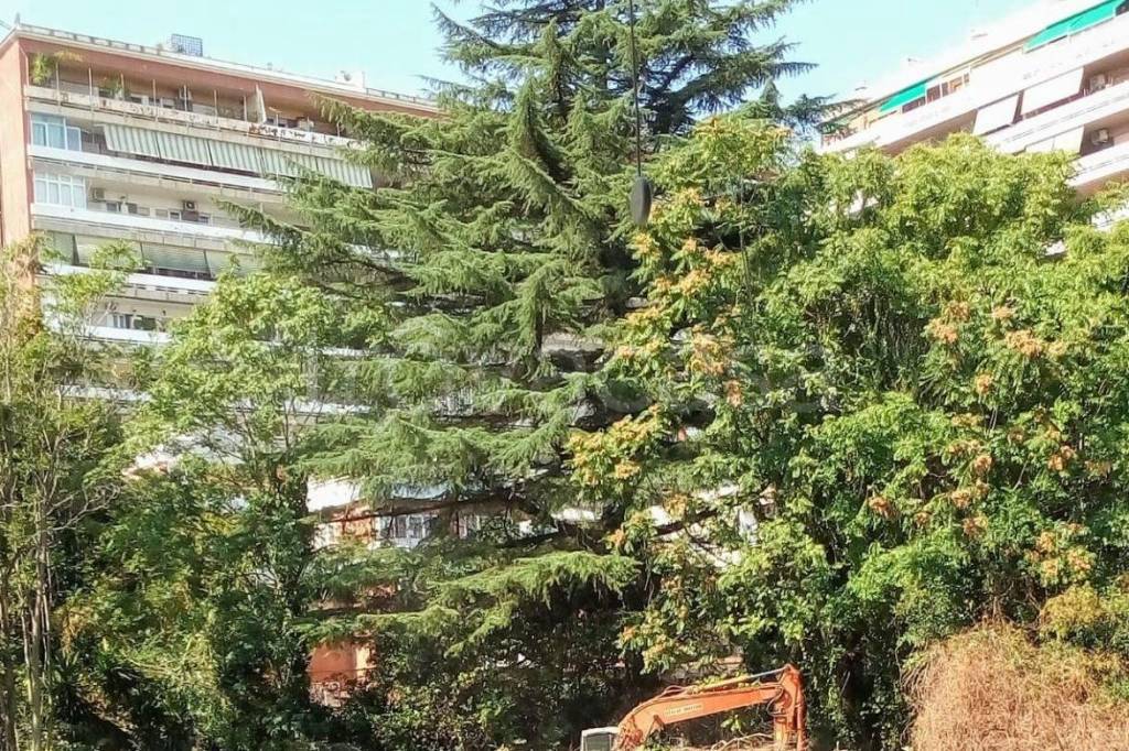 Loft in in vendita da privato a Roma via di Pietra Papa, 1