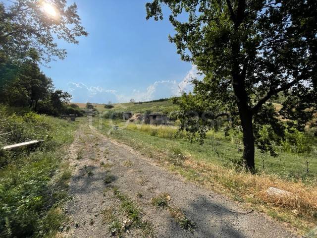 Casale in vendita a Castelvetro di Modena via Palona, 51