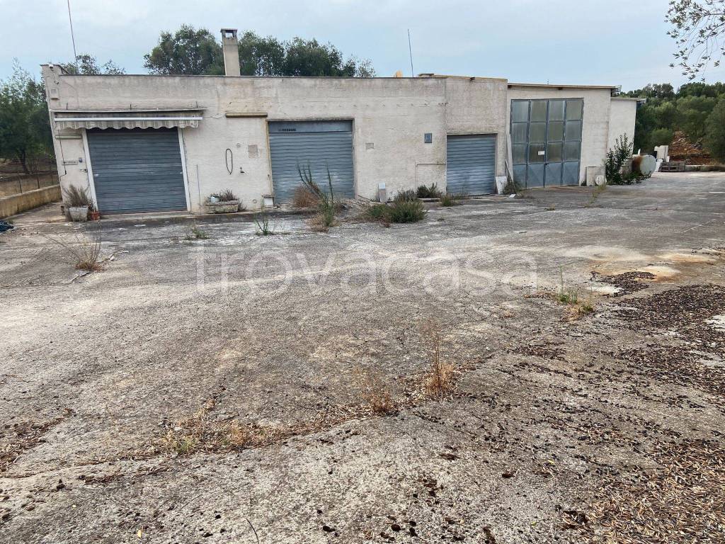 Rustico in in vendita da privato a Ceglie Messapica sp23, km3
