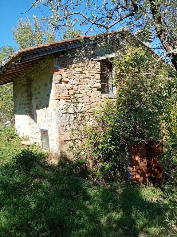 Intero Stabile in in vendita da privato a Uzzano via dei Pianacci