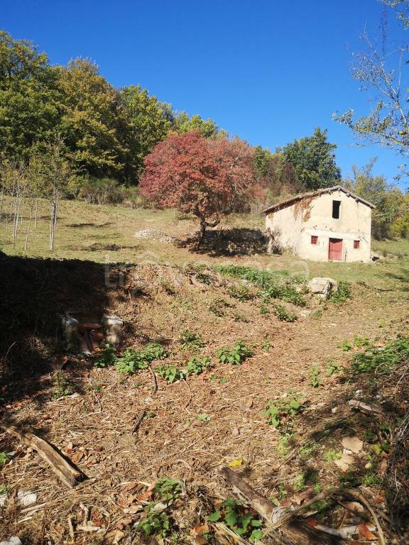 Rustico in in vendita da privato a Rocca Sinibalda località San Benedetto
