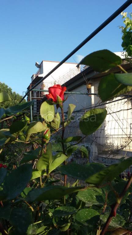 Villa in in vendita da privato a Caltanissetta strada Provinciale Sommatino Caltanissetta