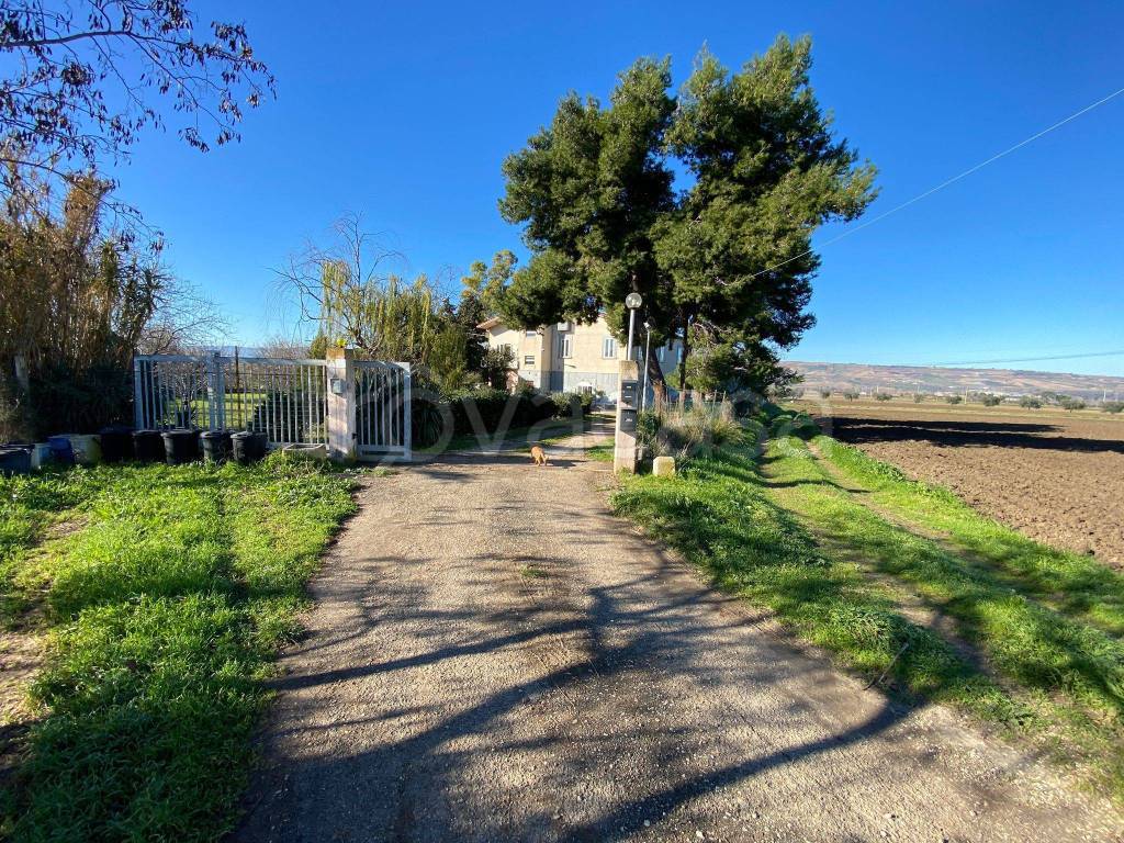 Masseria in in vendita da privato a San Martino in Pensilis strada Vicinale Macchioni