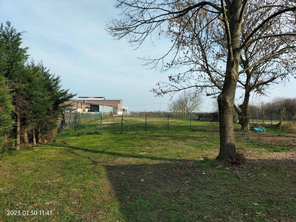 Villa in in vendita da privato a Riva del Po via Vigara