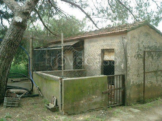 Casa Indipendente in in vendita da privato a Capalbio strada Torba 7 Finestre, 3