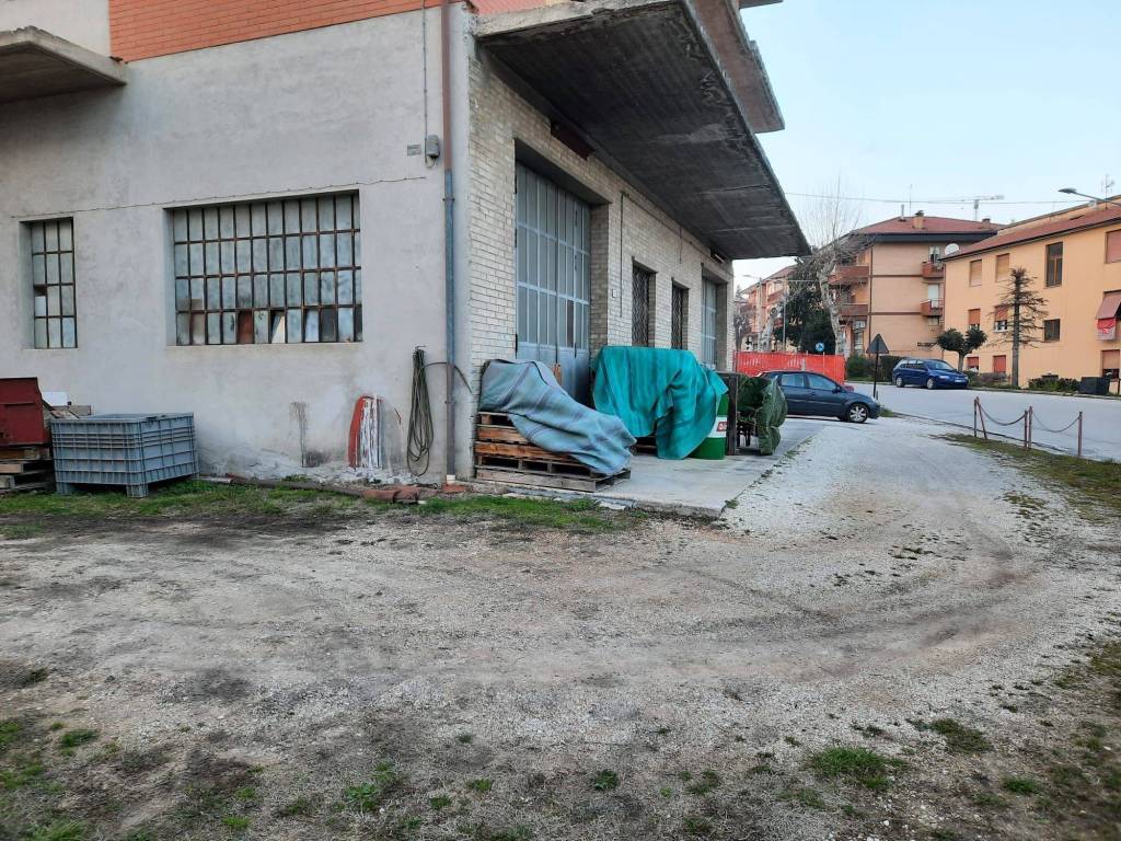 Intero Stabile in in vendita da privato a Falerone via Giuseppe Verdi, 9