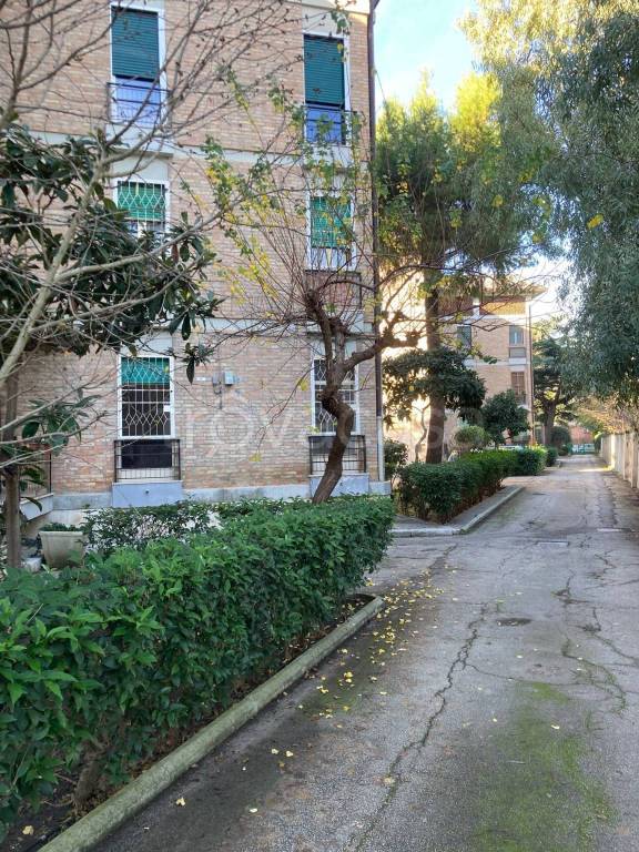 Appartamento in in vendita da privato a Foggia via Amicangelo Ricci