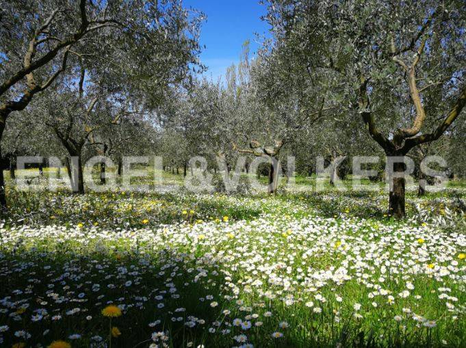 Villa in vendita a San Giovanni al Natisone