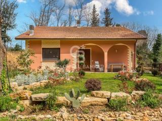 Villa in vendita a Vecchiano via 20 Settembre, 4 Foto-42