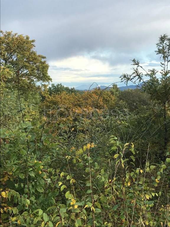 Casale in in vendita da privato a Monte Santa Maria Tiberina strada Provinciale di Monte Santa Maria Tiberina