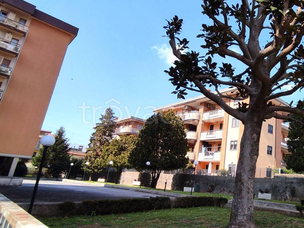 Appartamento in vendita ad Aprilia via Giacomo Matteotti, 114