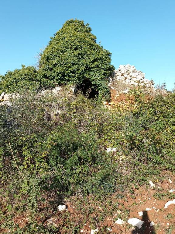 Trullo in in vendita da privato a Ceglie Messapica strada Provinciale Ceglie Messapica