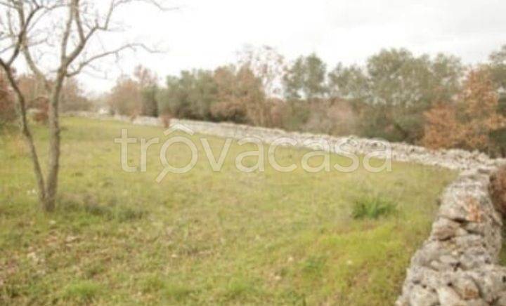 Trullo in in vendita da privato a Cisternino viale Valle d'Itria, 12