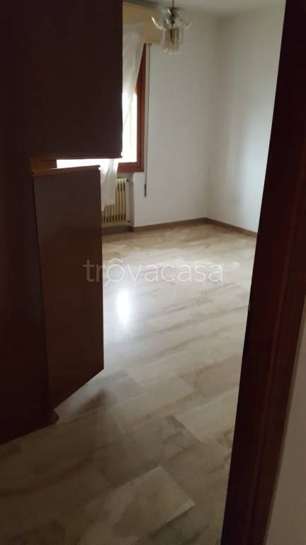 Appartamento in in vendita da privato a Campagna Lupia via Trieste, 3