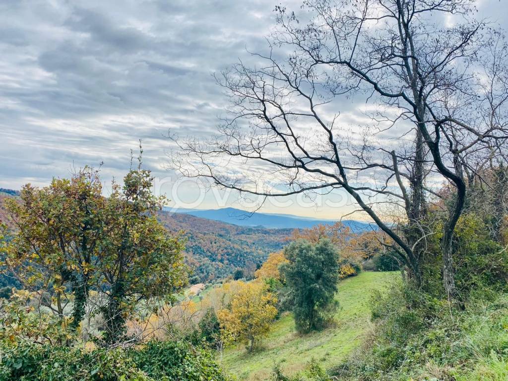 Rustico in in vendita da privato a Massa Marittima strada Provinciale Tatti, 4