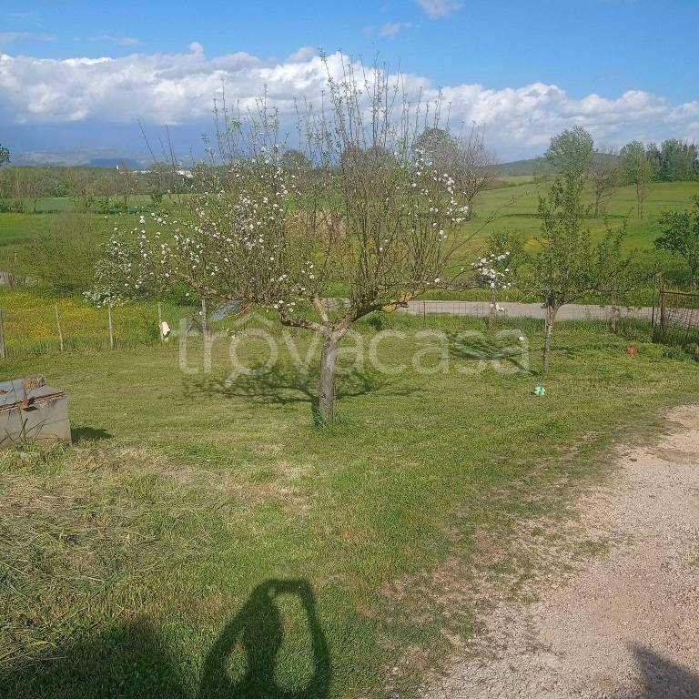 Intero Stabile in in vendita da privato ad Anagni via Osteria Fontana Villamagna Gorga, 2