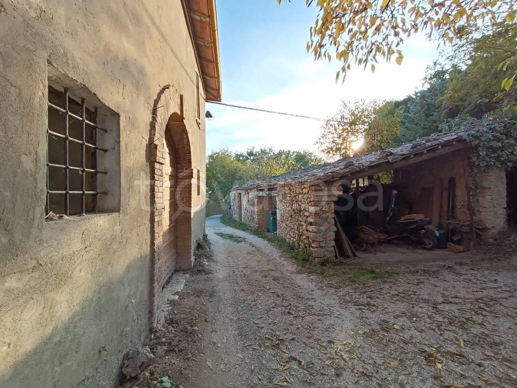 Casale in in vendita da privato a Massa Martana vocabolo Caciaro, 558