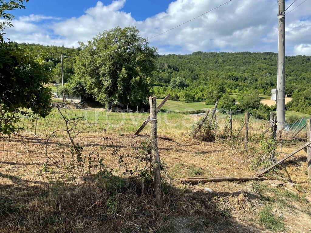 Appartamento in in vendita da privato a Bettola castellana