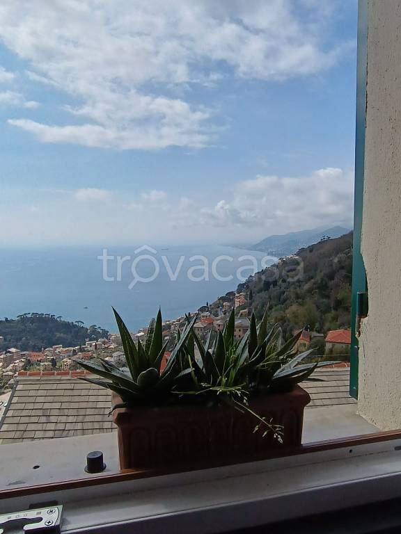 Appartamento in in vendita da privato a Camogli via 25 Aprile, 31