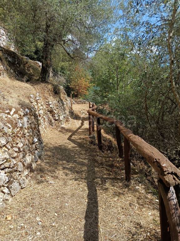 Intero Stabile in in vendita da privato a Camaiore via Colletti, 328