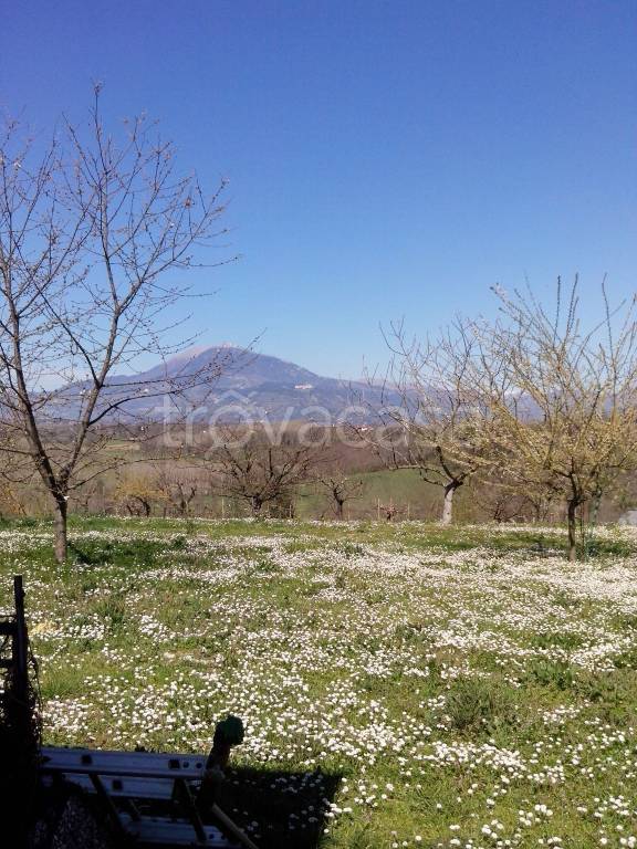 Villa in in vendita da privato a Rocca d'Evandro via Casamarina