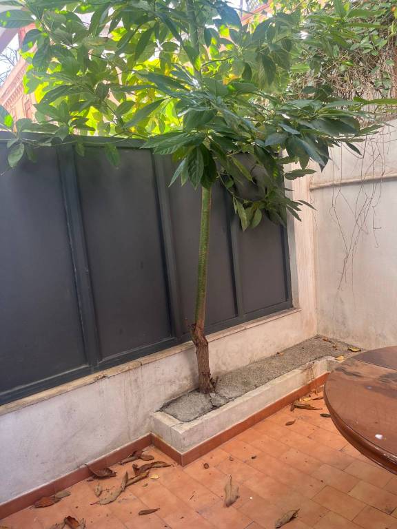 Appartamento in in vendita da privato a Messina via Mamertini, 17