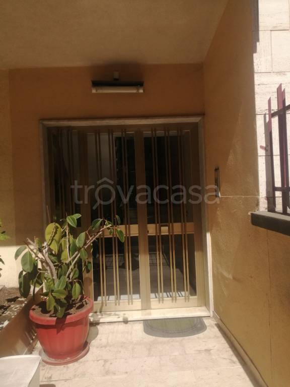 Appartamento in in vendita da privato a Gela via Olanda, 59