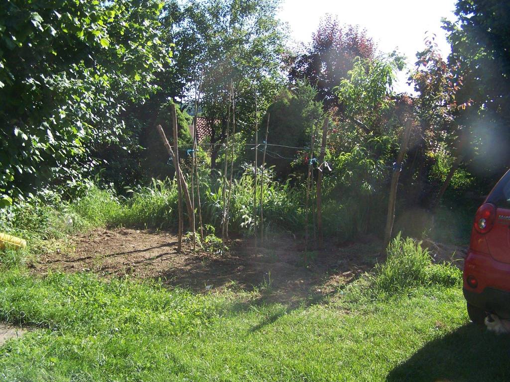 Cascina in in vendita da privato a Monale via Morosino, 10