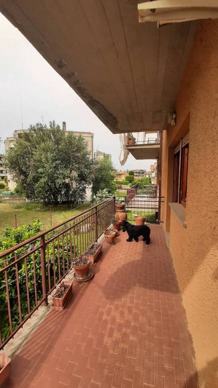 Appartamento in in vendita da privato a Gavorrano via Piero Gobetti, 4