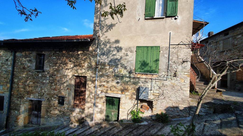 Rustico in in vendita da privato a Terenzo strada Borgo Vecchio, 9
