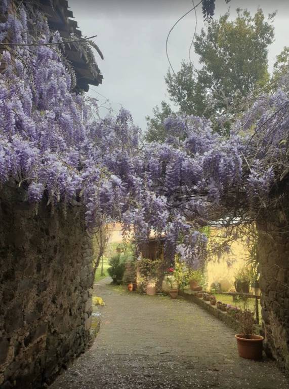 Intero Stabile in vendita a Bonarcado via Grazia Deledda, 50