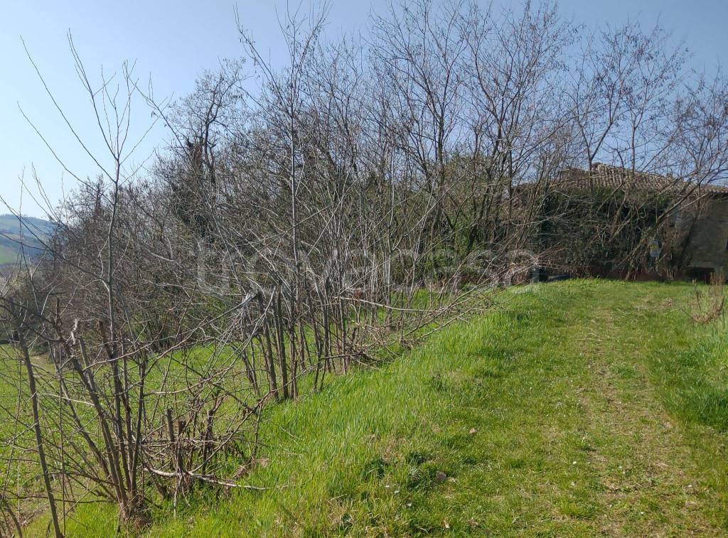 Rustico in vendita a Castelvetro di Modena via Medusia