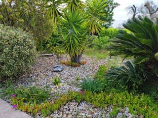 Appartamento all'asta a San Vito dei Normanni vico Manzoni  15 Foto-14