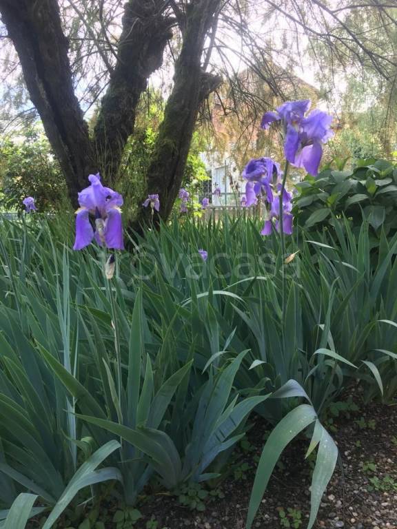 Casa Indipendente in in vendita da privato ad Alessandria via Piacenza, 77