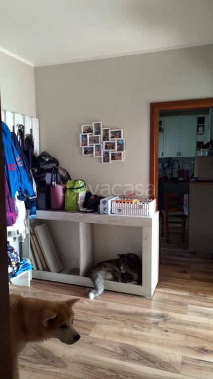 Appartamento in in vendita da privato a Rosignano Marittimo via Spartaco Lavagnini, 12