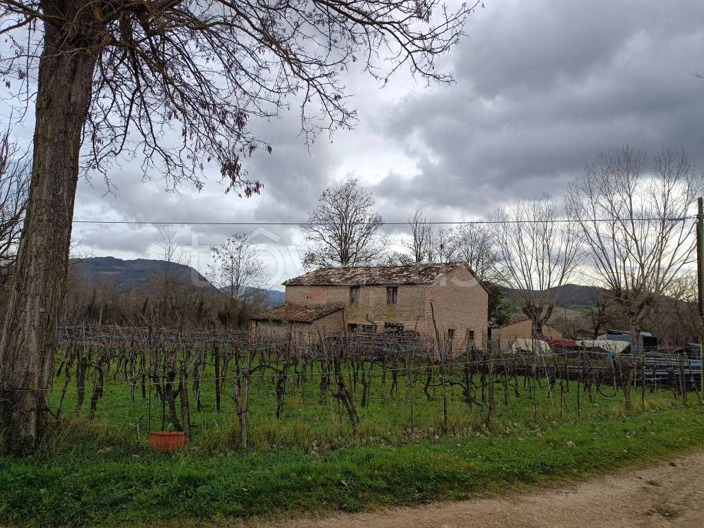 Casale in in vendita da privato ad Acqualagna via Bellaria, 15