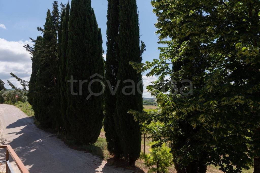 Appartamento in in vendita da privato a Castellina in Chianti strada Provinciale di Castellina in Chianti, 78