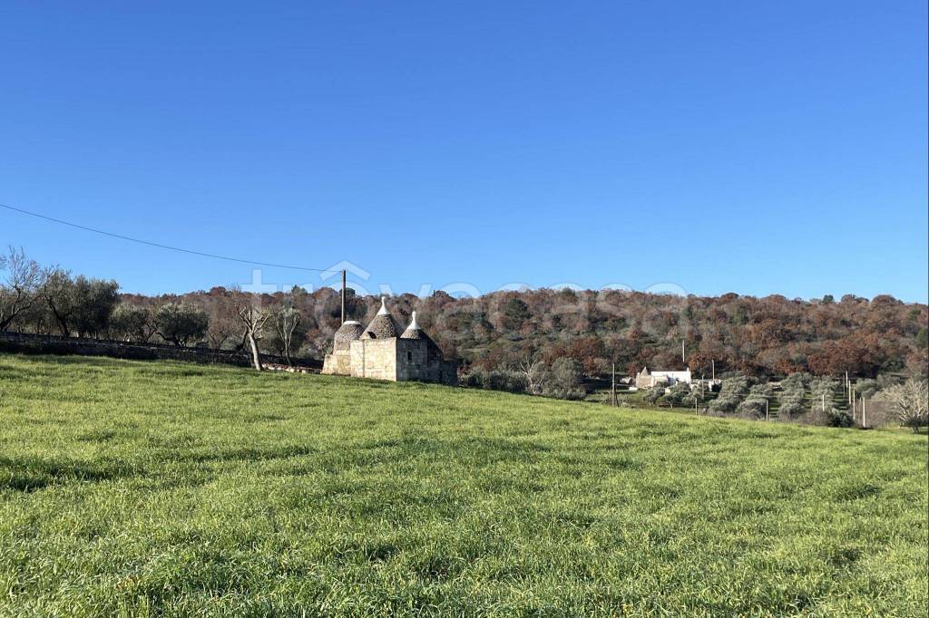 Trullo in in vendita da privato a Ceglie Messapica contrada Recupero