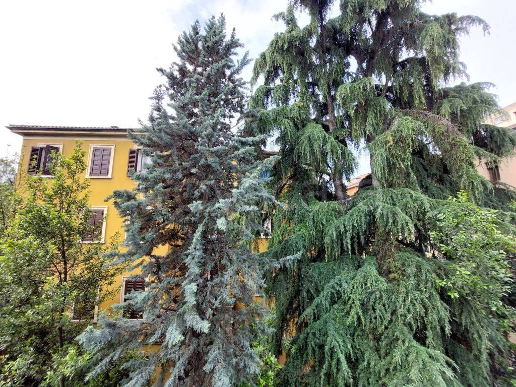 Appartamento in in vendita da privato a Bologna via del Parco, 3