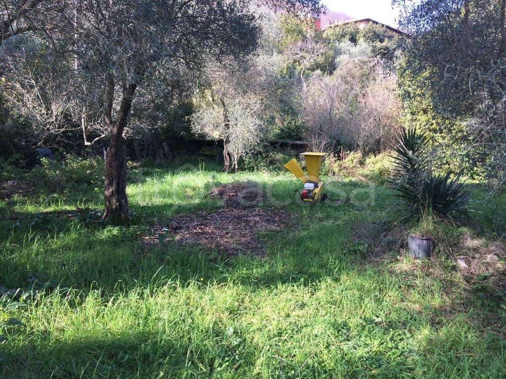Villa Bifamiliare in in vendita da privato ad Ameglia via Visola, 41