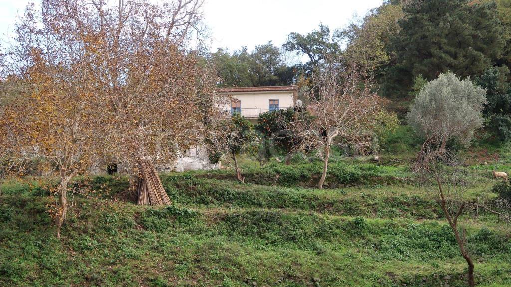 Casa Indipendente in in vendita da privato a Fiumefreddo Bruzio donnella, 8