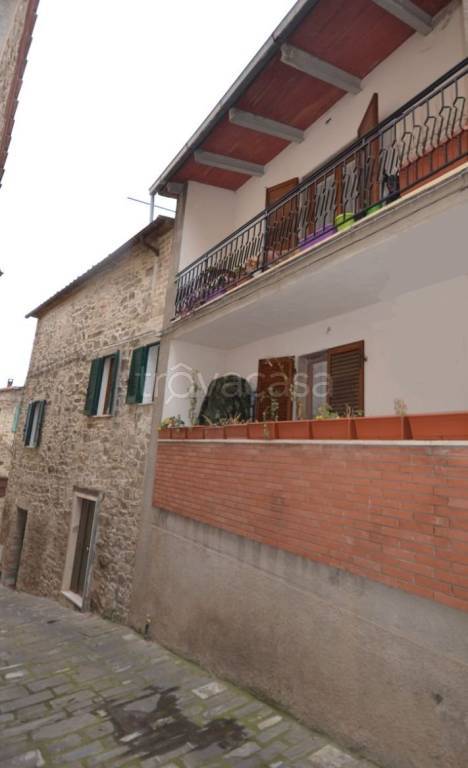 Casa Indipendente in in vendita da privato a Castel del Piano piazza del Pozzo, 1
