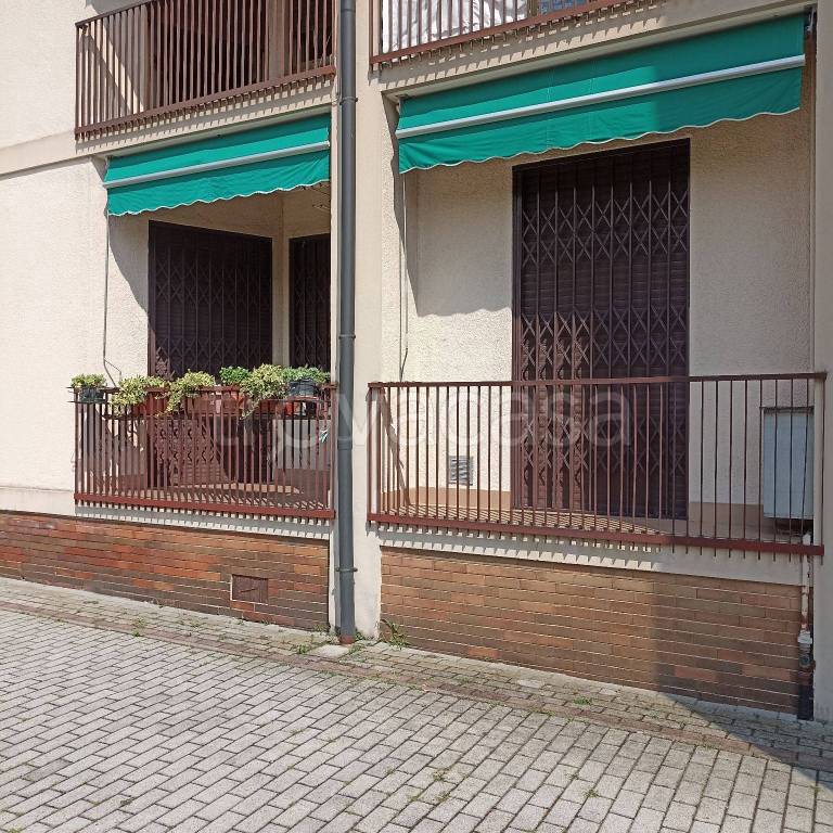 Appartamento in in vendita da privato a Cardano al Campo via Carreggia, 89