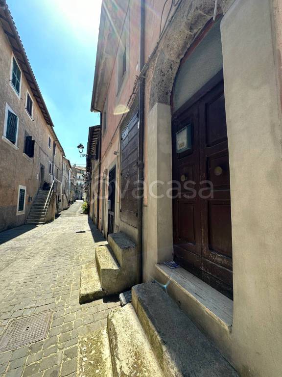 Appartamento in in vendita da privato a Bassano Romano via Borgo San Filippo, 39